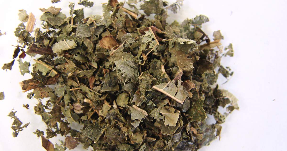 Tongkat Ali vs Horny Goat Weed - tongkat.co